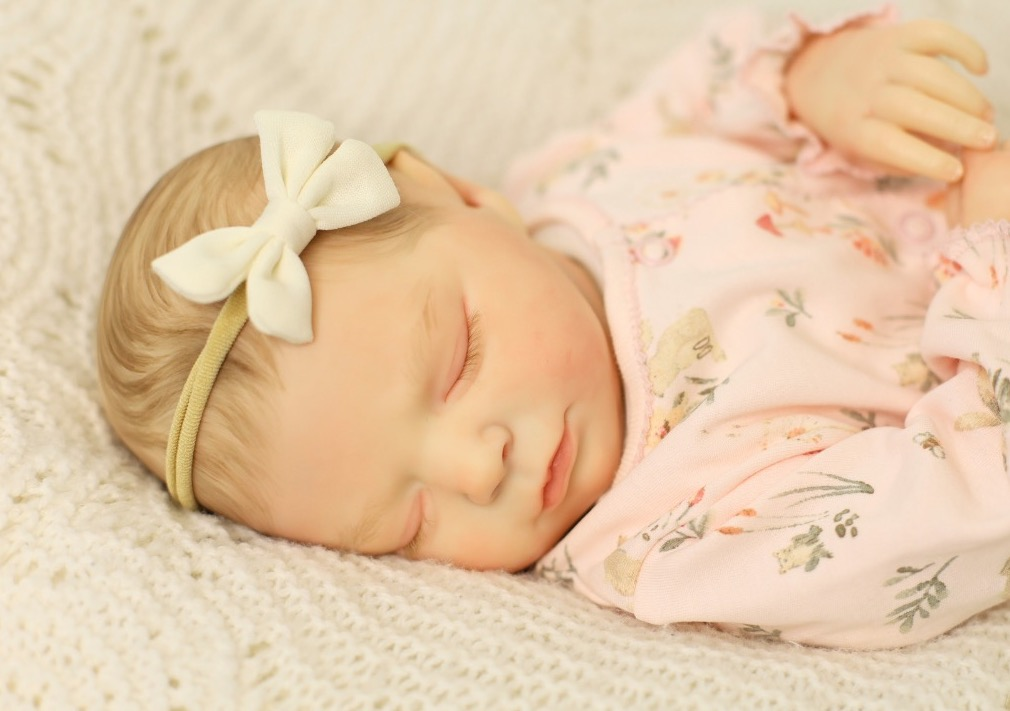 Playborns – Aliyah's Playborn World