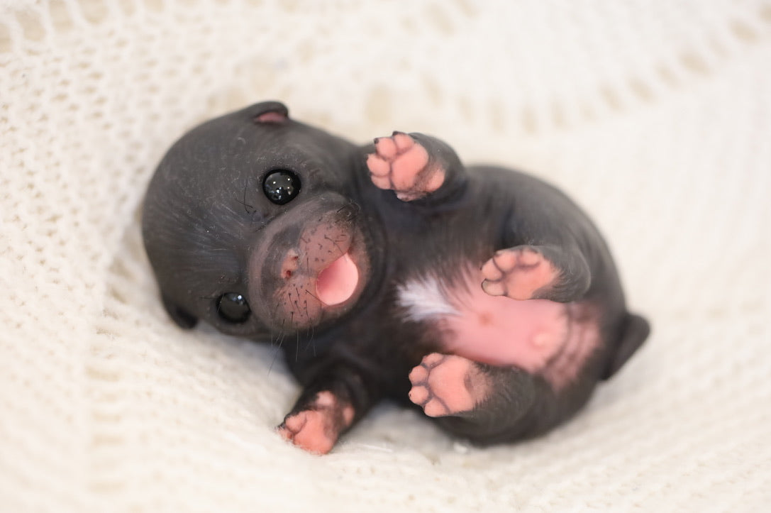 Silicone Pets – Aliyah's Playborn World