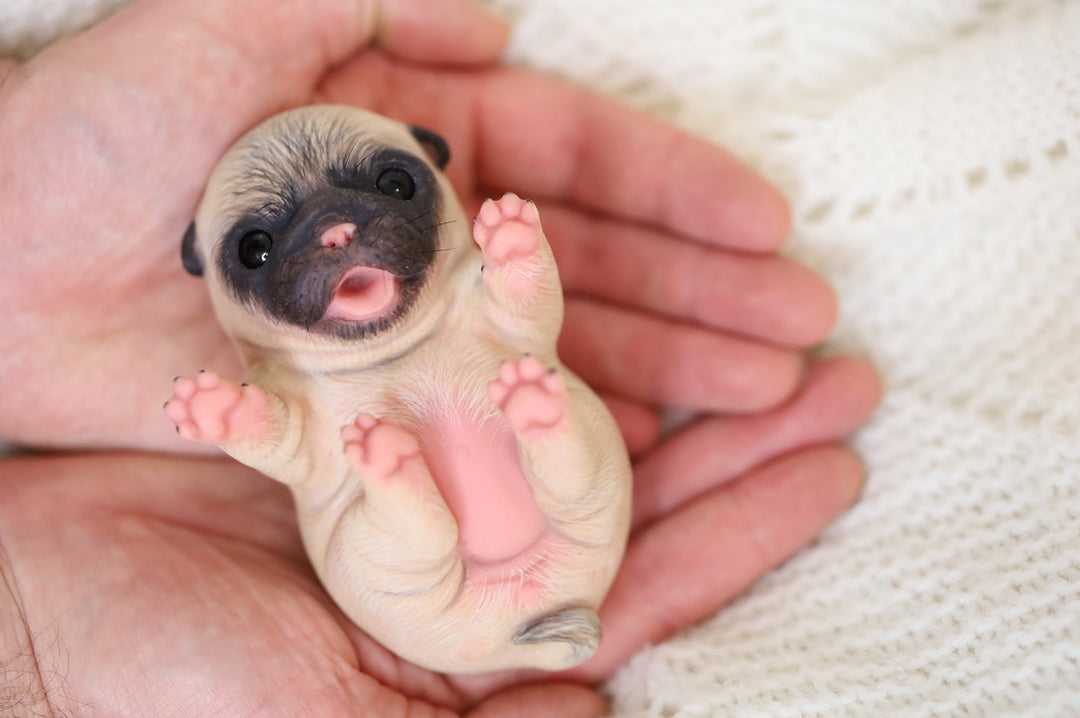 Silicone Pets – Aliyah's Playborn World
