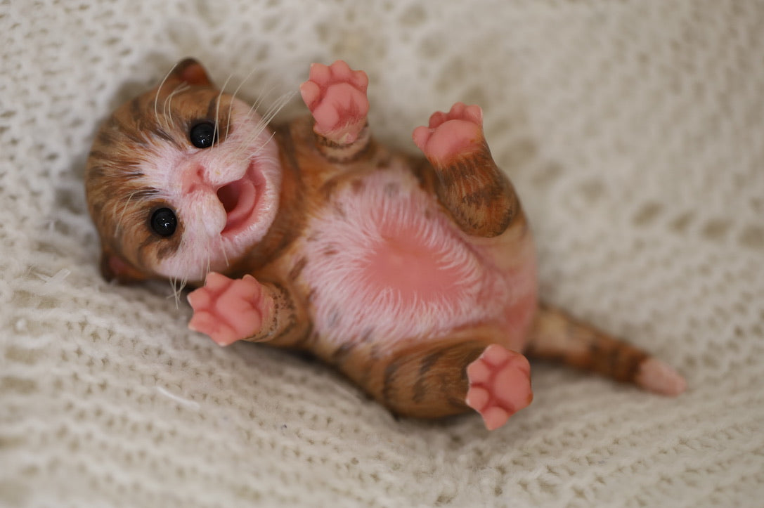 Cleo | Silicone Kitten – Aliyah's Playborn World