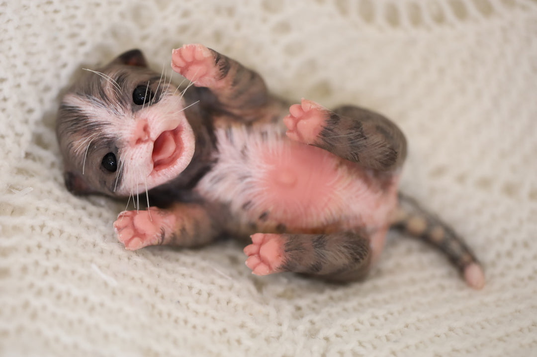 Silicone Pets – Aliyah's Playborn World
