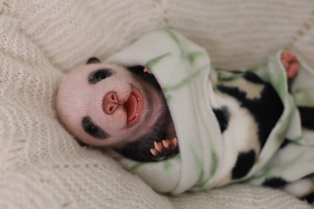 Pia | Silicone Panda – Aliyah's Playborn World