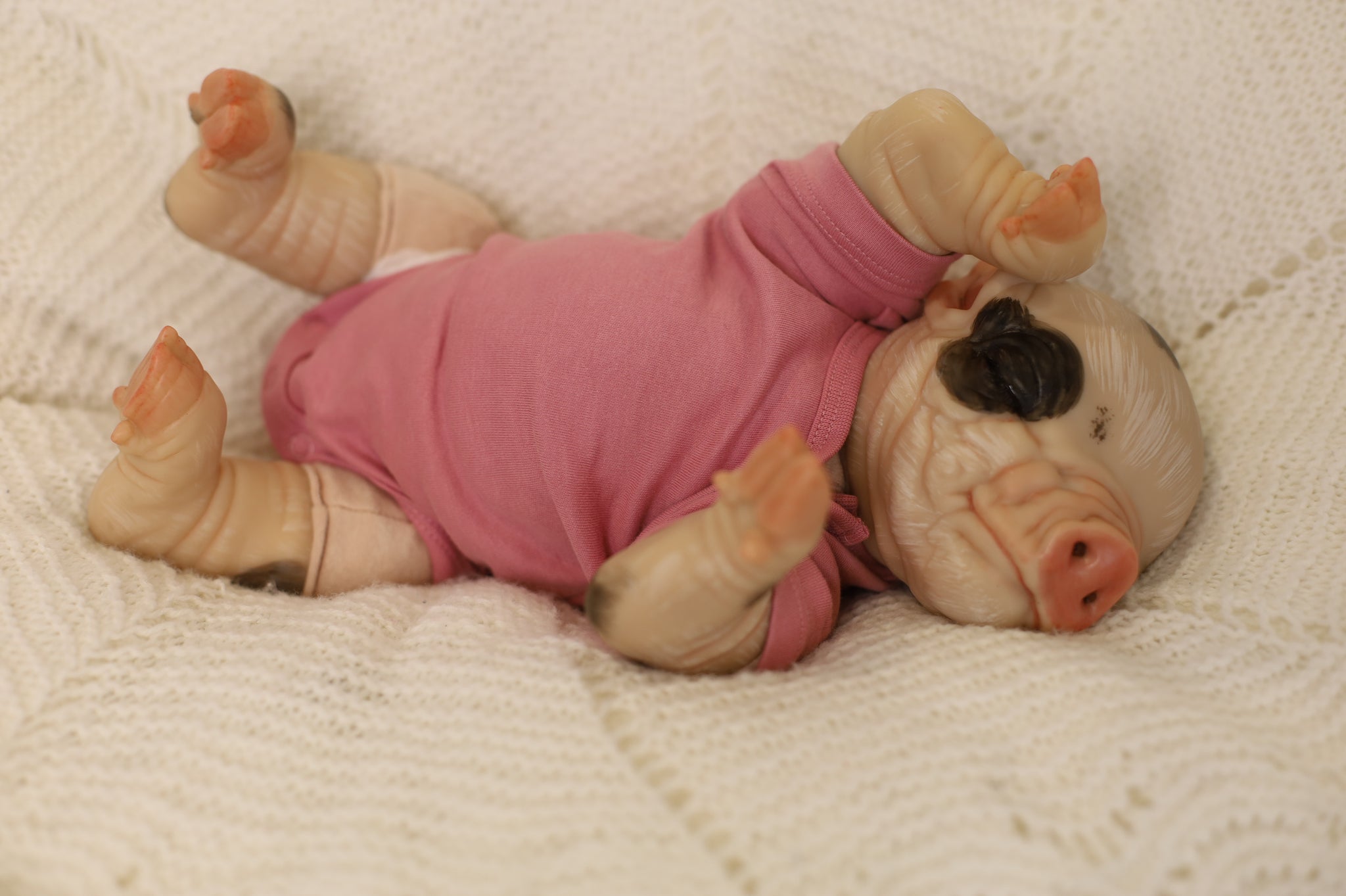 Animals – Aliyah's Playborn World